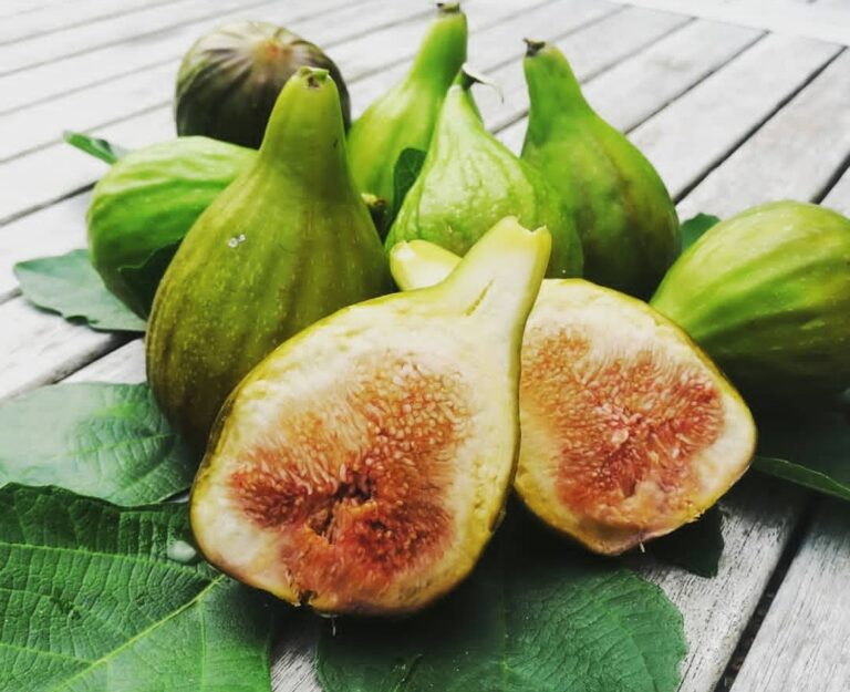 Gartenparty | Tischdeko Schritt für Schritt | Tipps fürs Sommerfest ...